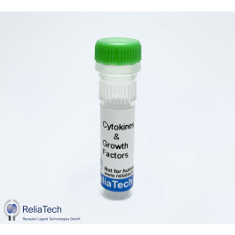 human FGF-12 protein (His-Tag) 2 µg Human E. coli | ReliaTech Gmb